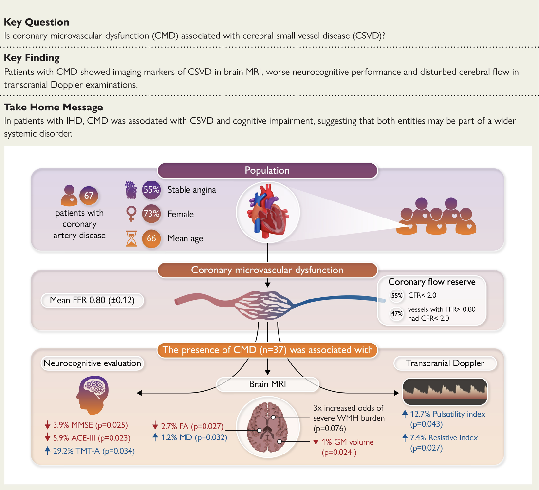 Coronary microvascular dysfunction is associated with impaired ...